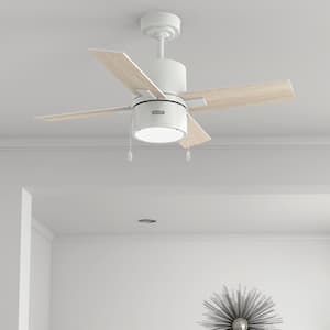 Hunter Bardot 44 in. Indoor Fresh White Ceiling Fan with Light Kit ...