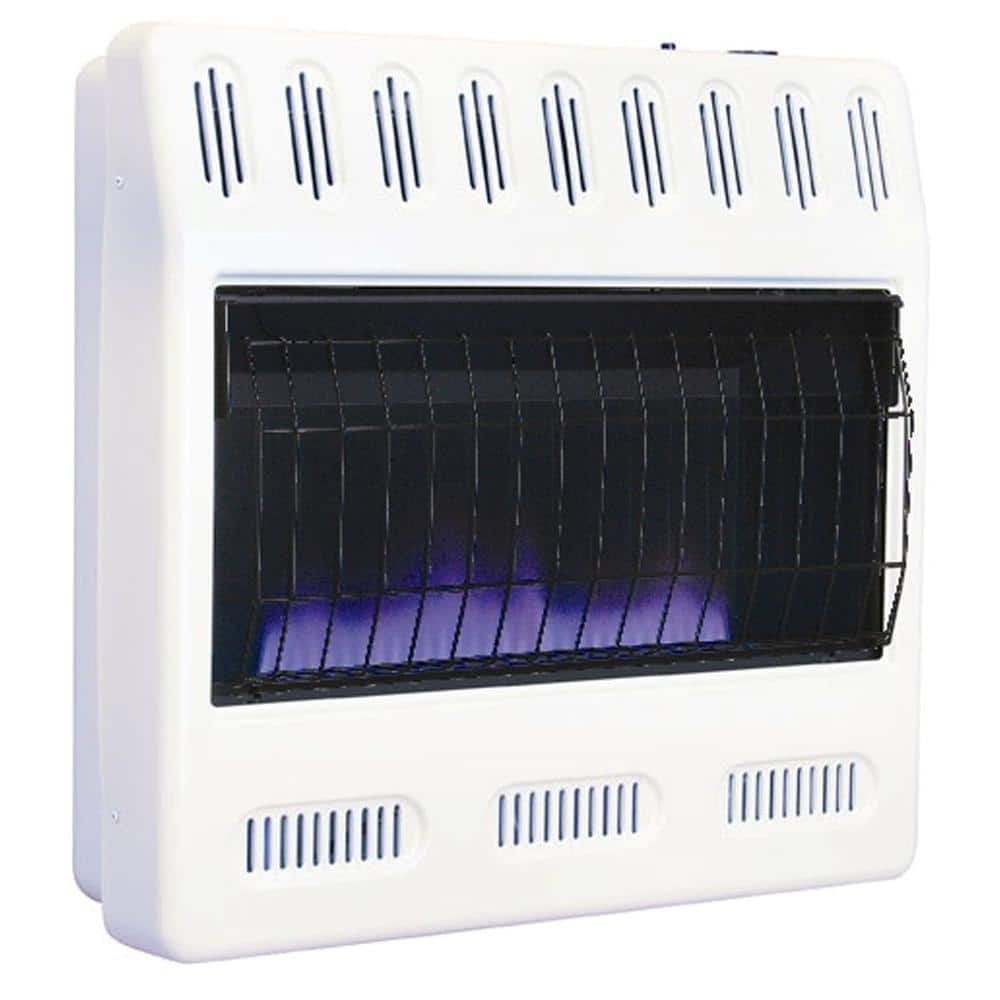 Williams 30,000 BTU Blue Flame Vent-Free Natural Gas Wall Heater with ...