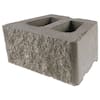 Pavestone Regal Stone Pro 18 in. W x 12 in. L x 8 in. H Rock Face ...