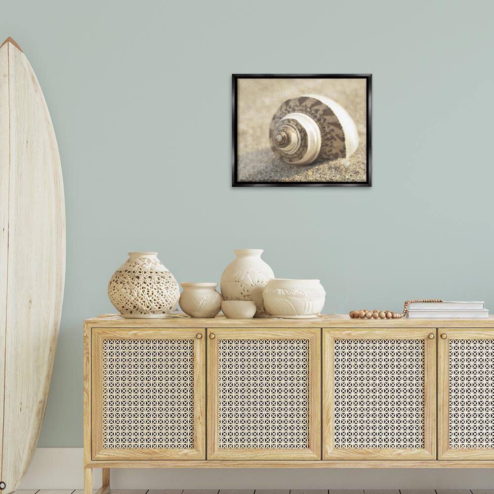 Stupell Industries Neutral Tone Seashell by Dora Rotondella Black ...