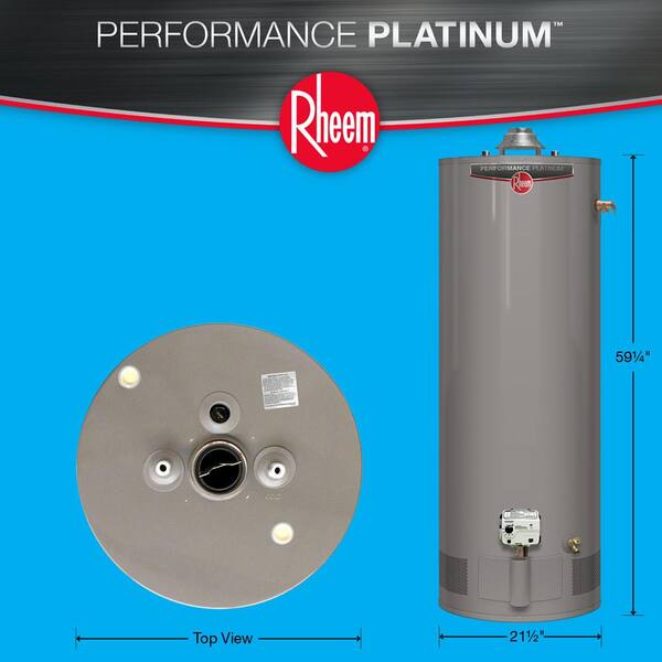 Rheem Performance Platinum 50 12 Year 40 000 BTU High 56 OFF