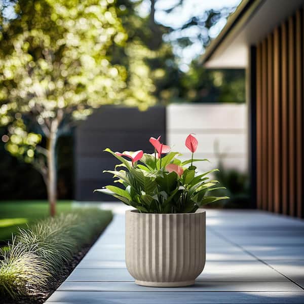 Morrava 14 in. Medium Light Gray Concrete Round Planter / Pot with ...