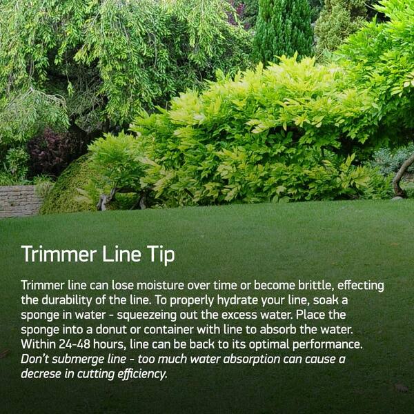 2.4mm Strimmer Line Heavy Duty 5 Best Trimmer Line For Overgrown Fence ...