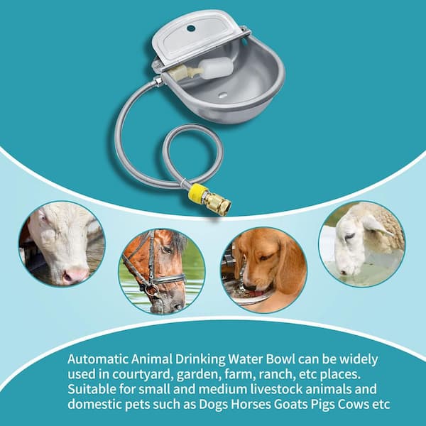KIWDZFU Automatic Animal Drinking Water Bowl Stainless Steel Waterer ...