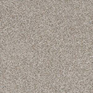 Lifeproof 8 in. x 8 in. Texture Carpet Sample-Modern Mosaic I-Color ...