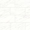 Bedrosians Shandar Rectangular 12 in. x 24 in. Matte Viber Red ...