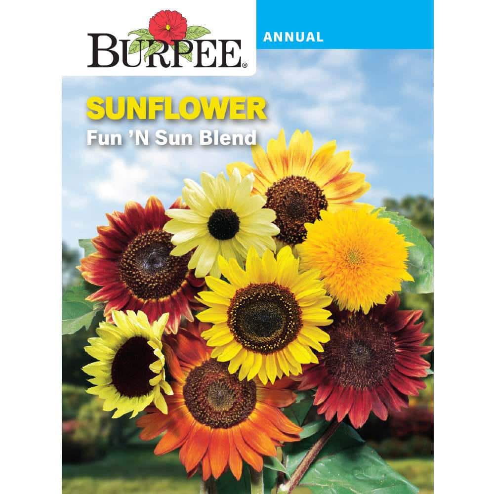 Burpee Sunflower Fun n Sun Blend Flower Seed 47877 - The Home Depot