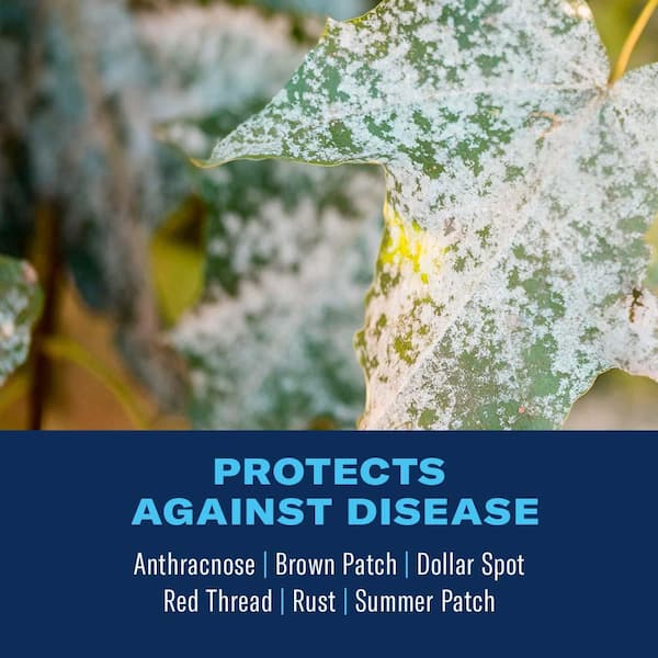 BIOADVANCED 32 oz. Ready-to-Spray Fungus Control for Lawns Fungicide ...