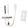 Directbrand Teledyne Laars Igniter/Flame Sensor Assembly Upgrade for ...