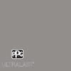 PPG UltraLast 1 gal. #PPG1002-5 Antique Silver Semi-Gloss Interior ...