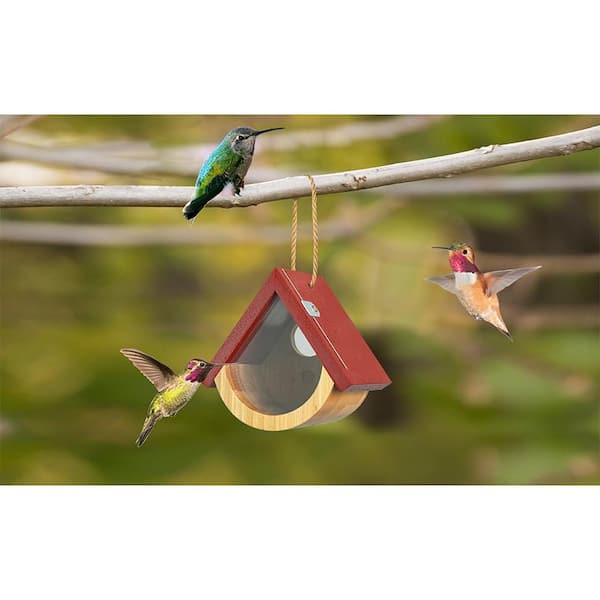 Hummingbird House Plans Wood