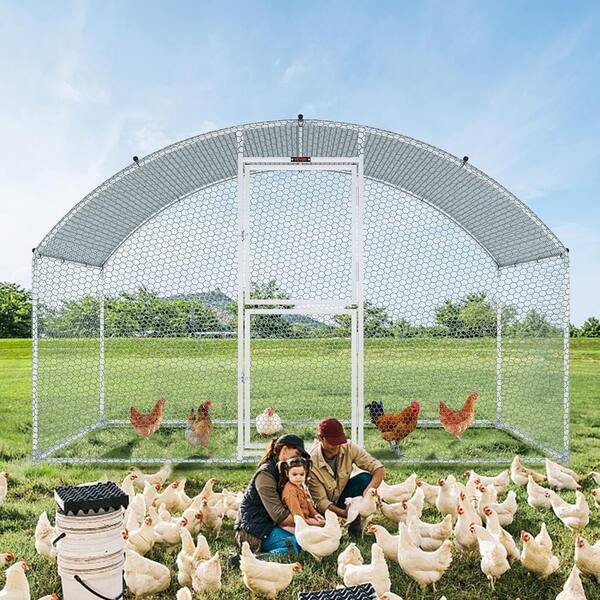 6.5 ft. Chicken Run Coop Walk-In Chicken Coop Outdoor Galvanized Steel ...