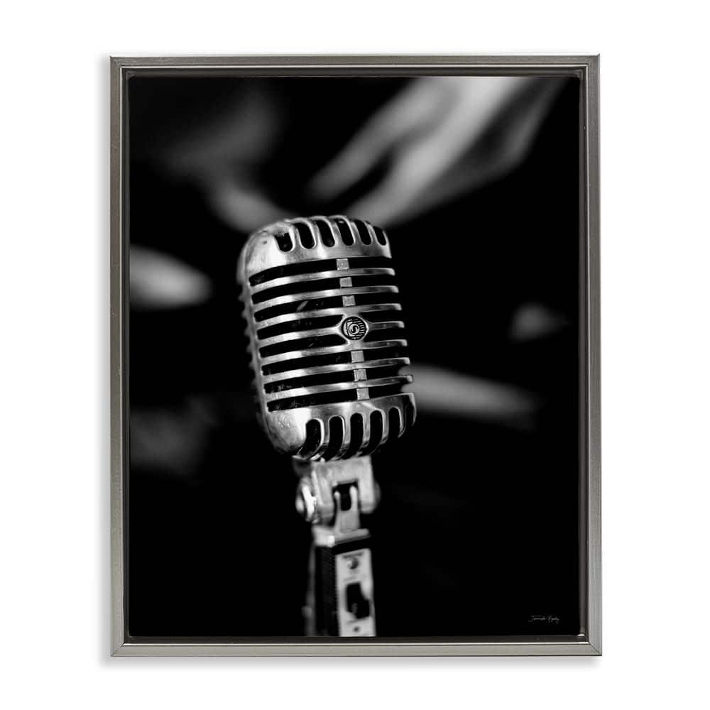 Stupell Industries Vintage Microphone on Black by Jennifer Rigsby Gray ...