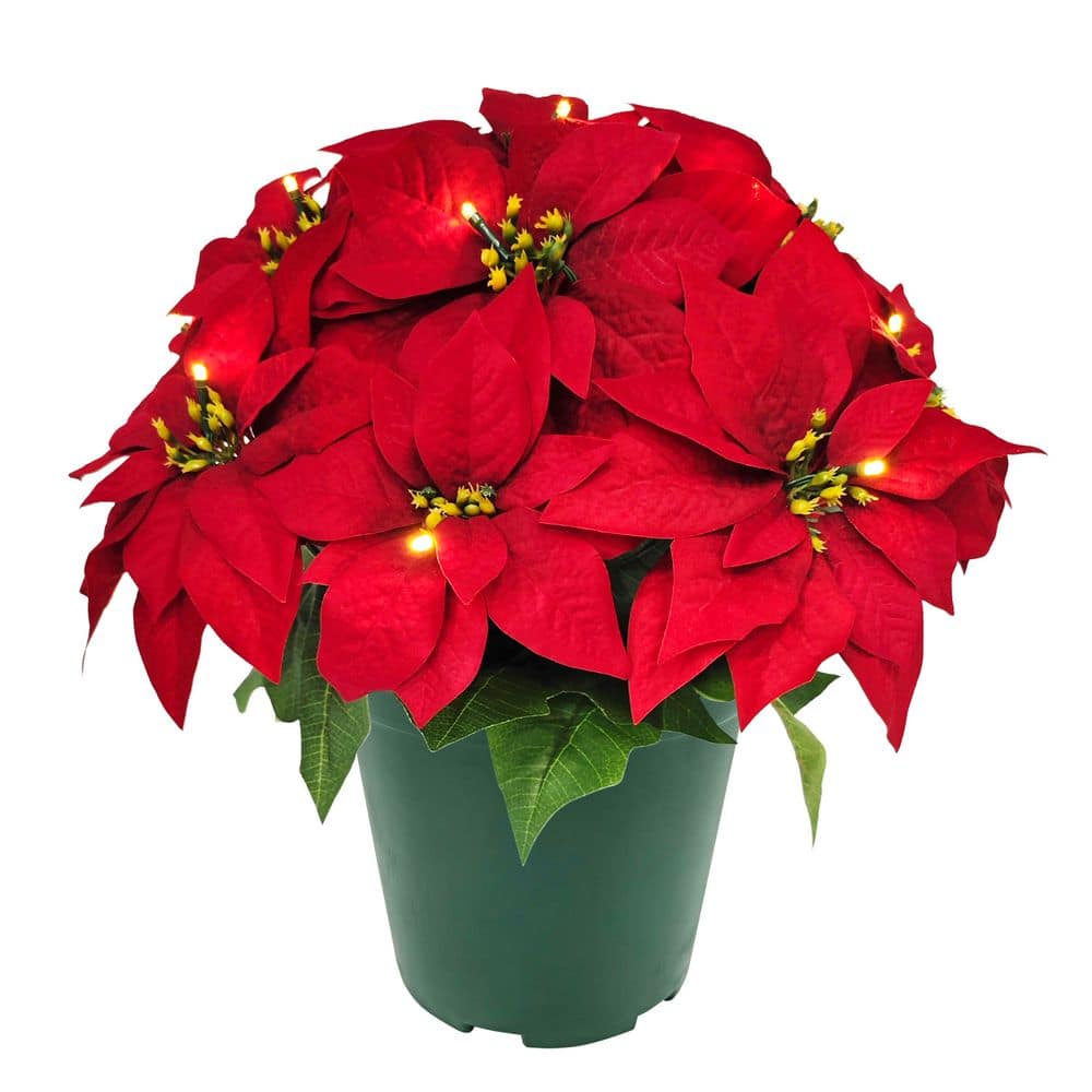 Puleo International 22 in. Pre-Lit Battery-Operated Red Potted ...