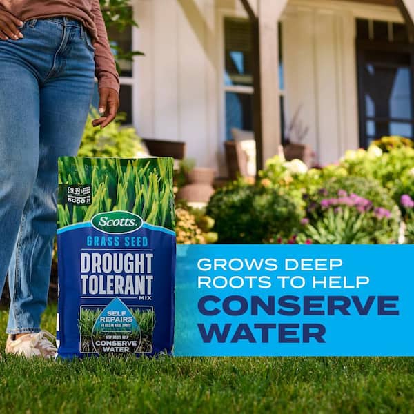 Scotts Grass Seed Drought Tolerant Mix 10 lb. 5,000 sq. ft. Kentucky ...