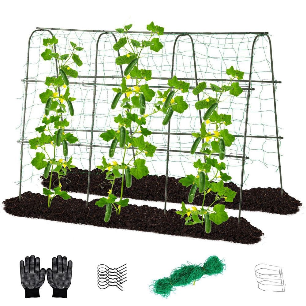 FAWEY TRED INC 65 in. L x 48 in. H Green U-Shape Cucumber Trellis for ...