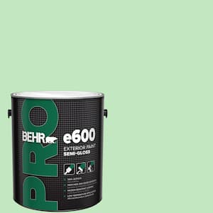 BEHR PRO 1 gal. #450A-3 Mountain Mint Low Luster Exterior Paint PR62001 ...