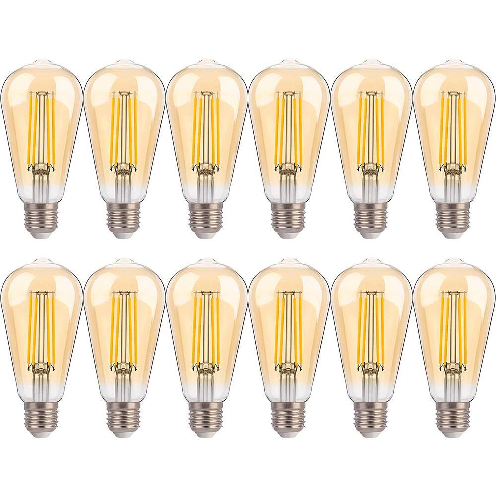 FLSNT 100-Watt Equivalent ST19 Warm White (Less Than 2700K) Dimmable ...