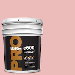 BEHR PRO 1 gal. #150C-3 Arizona Sunrise Low Luster Exterior Paint ...