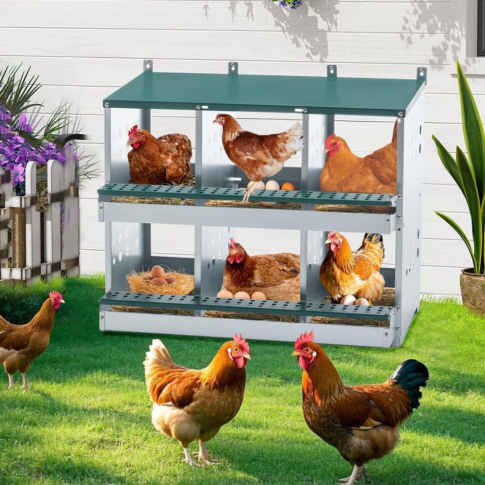 2.8 ft. W x 1 ft. D Metal Shed, 6 Compartments Chicken Nesting for ...
