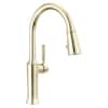 Delta Renaldi Single Handle Pull Down Sprayer Kitchen Faucet in ...