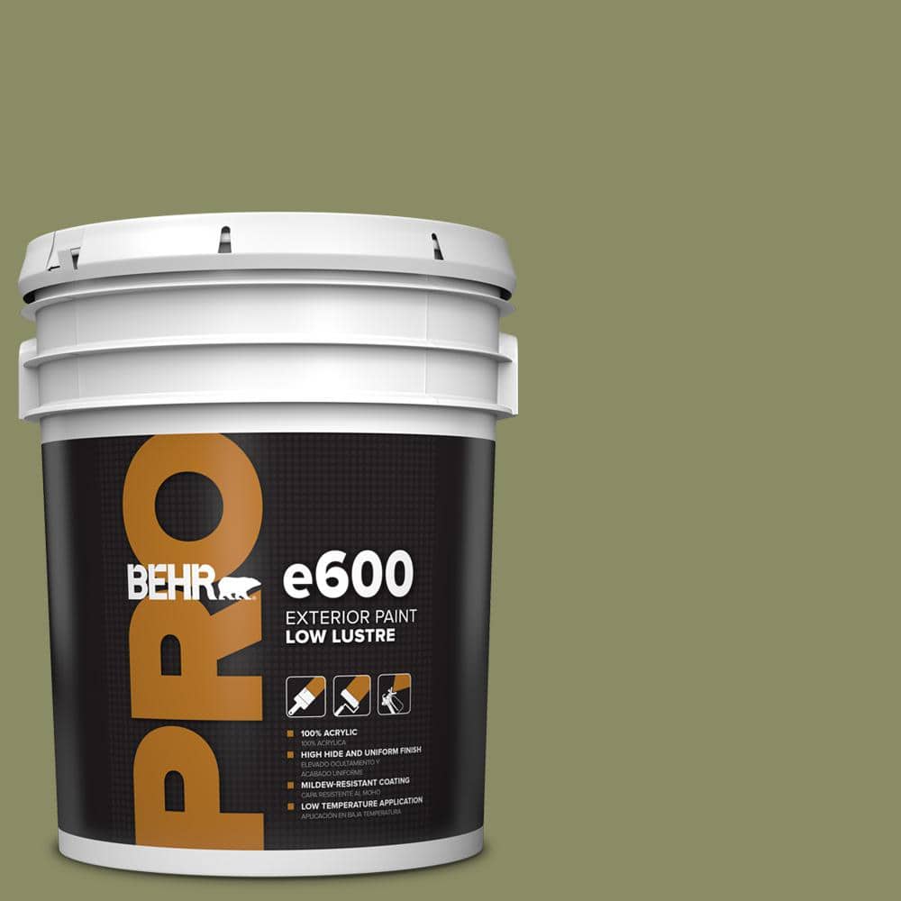 BEHR PRO 5 gal. #S360-5 Yogi Low Luster Exterior Paint PR62305 - The ...