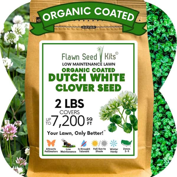 Flawn Seed Kits 2 lb. White Dutch Clover Flower Lawn Seed, Organic ...