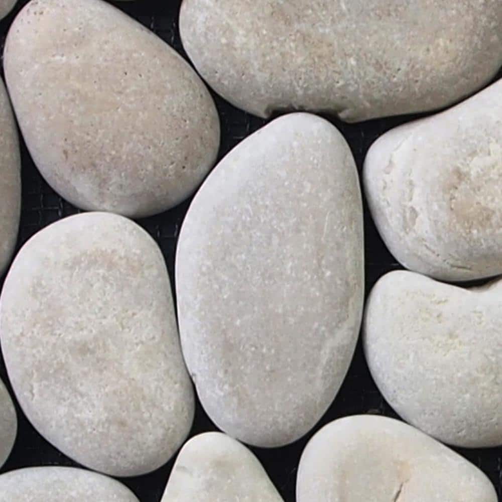 CRUZ BAY STUDIO Classic Pebble Mosaic Tile Sample Color Tan 4 in. x 6 ...