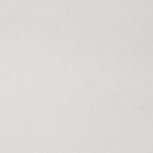 Caesarstone - Sample - Quartz Countertops - Countertops - The Home Depot