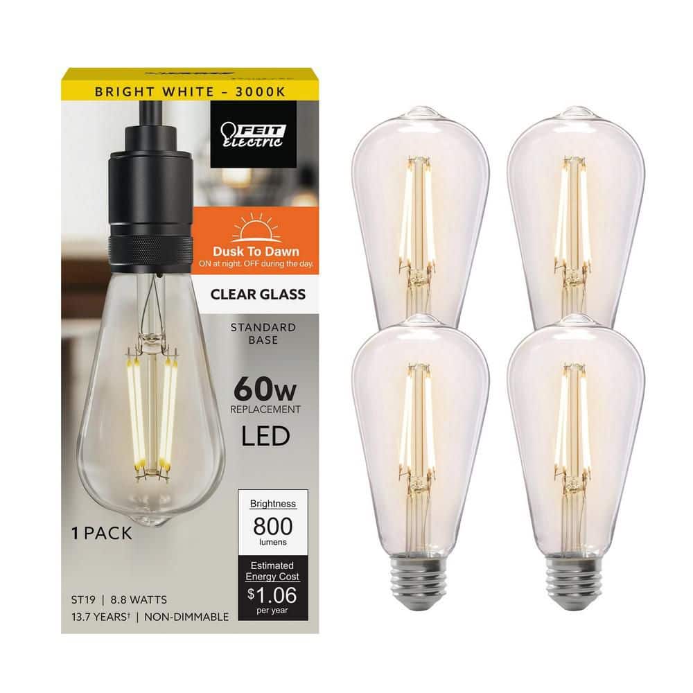 Feit Electric 60-Watt Equivalent ST19 Straight Filament Dusk to Dawn ...