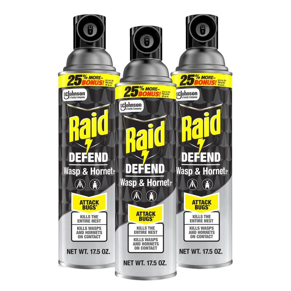 Raid 17.5 oz. Wasp and Hornet Killer, Outdoor Flying Insect Killer ...