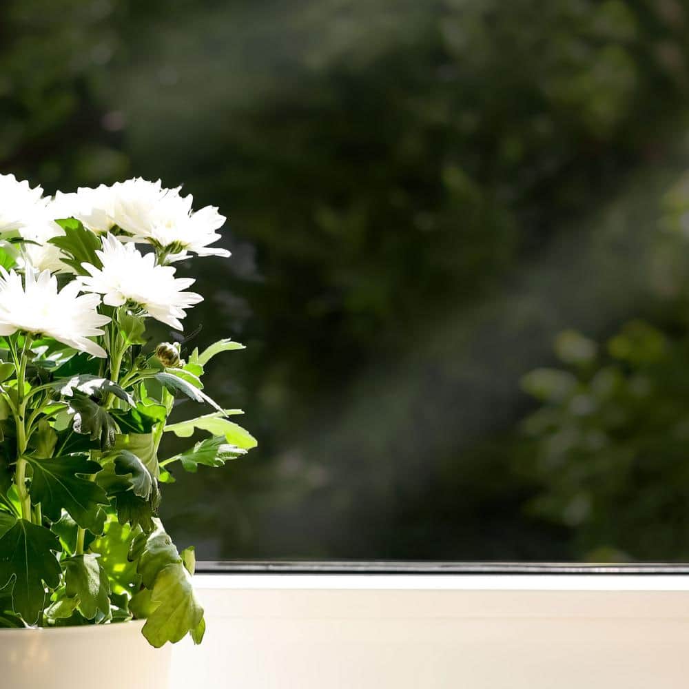 Gila 48 in. x 1200 in. Titanium Heat Control Window Film 10363450 - The ...