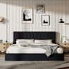 Ahokua Black Frame King Size Upholstered Platform Bed with Lift-up ...