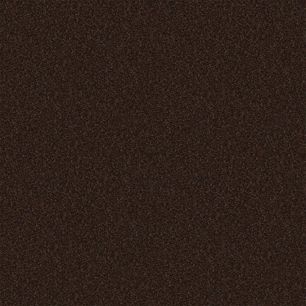 Reviews for TrafficMaster Alpine - Exploration - Brown 15 ft. 17.3 oz ...