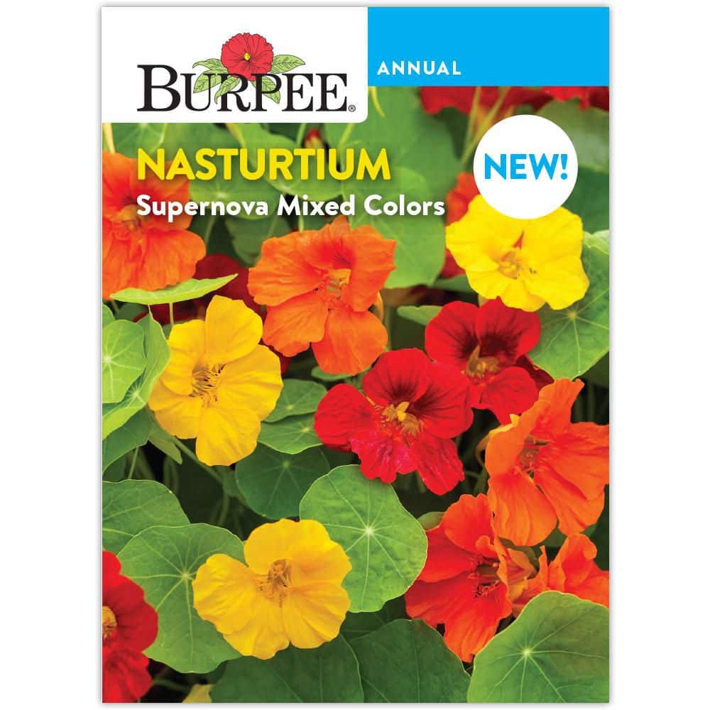 Burpee Nasturtium Supernova Mixed Colors Seed 30752 - The Home Depot