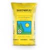 Barenbrug 50 lb. Panterra V OverSeeding Rye Grass Seed 25080 - The Home ...