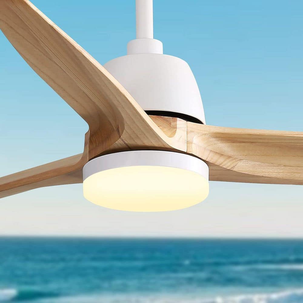 CACI Mall 56 in. Integrated LED Indoor/Outdoor White 3-Bladed Ceiling ...