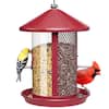 Comfortable Red Metal Hanging Multiple Bird Species Seed Feeder - 4 lbs ...