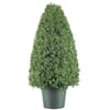 National Tree Company 30 in. Boxwood Artificial Tree in Dark Green ...