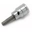 TITAN 1/2 in. Drive 14 mm Hex Bit Socket TIT15614