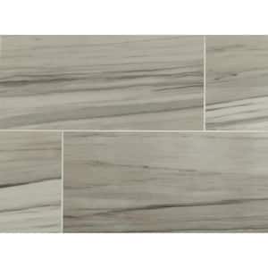 MSI Take Home Tile Sample - Nyon Gray 12 in. x 24 in. Polished ...