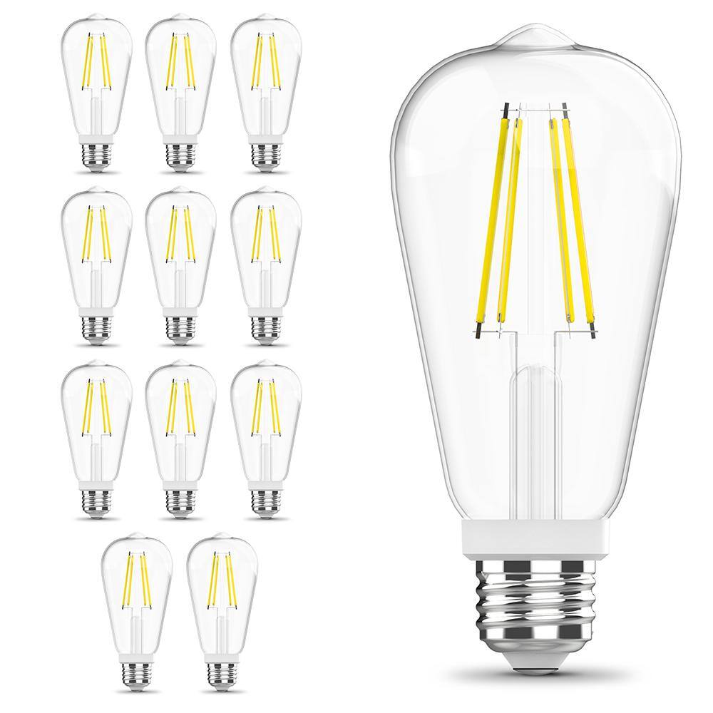 Feit Electric 100-Watt Equivalent ST19 Straight Filament Dusk to Dawn ...