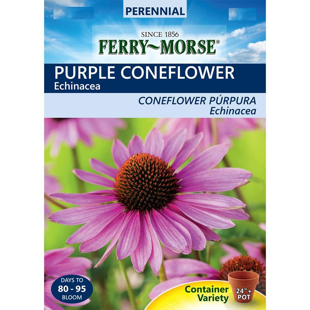Ferry-Morse Purple Coneflower Flower Seed 5611 - The Home Depot