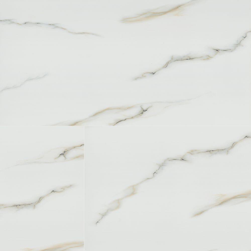 Have a question about MSI Aria Bianco 24 in. x 48 in. Polished ...