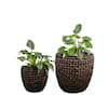 Eden Grace Round All-Weather Wicker Planter Outdoors Patio Herb Garden ...