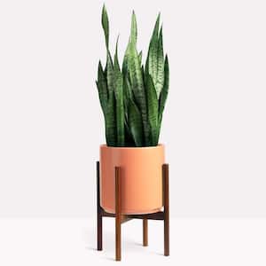 Pink - Plant Pots - Planters - The Home Depot