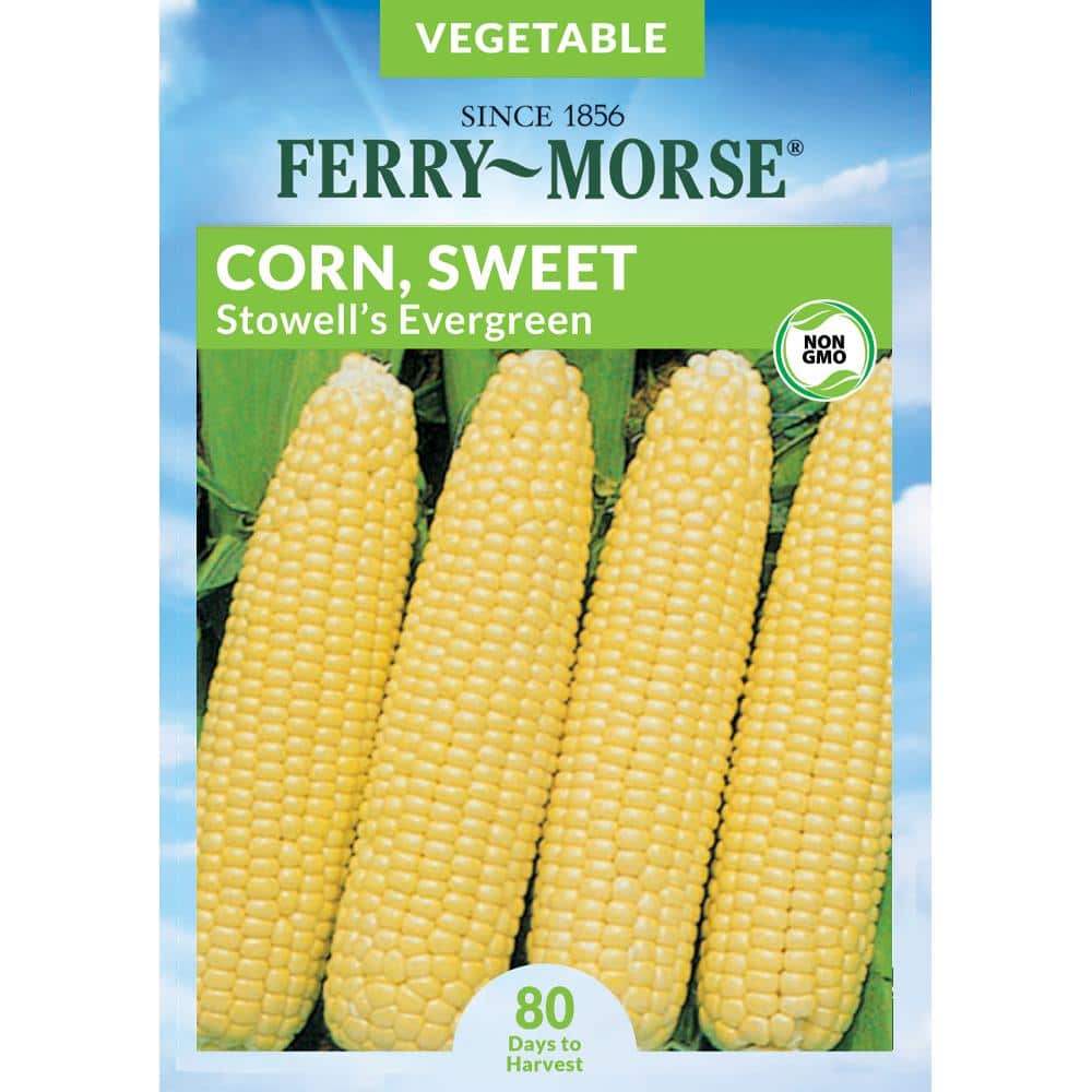 Ferry-Morse Sweet Corn Stowells Evergreen Fruit Seeds 0508 - The Home Depot