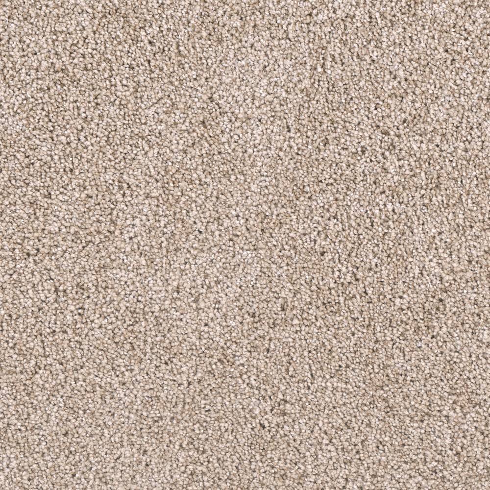 Home Decorators Collection Wonderfully Made II - Color Fawn Texture 12 ...