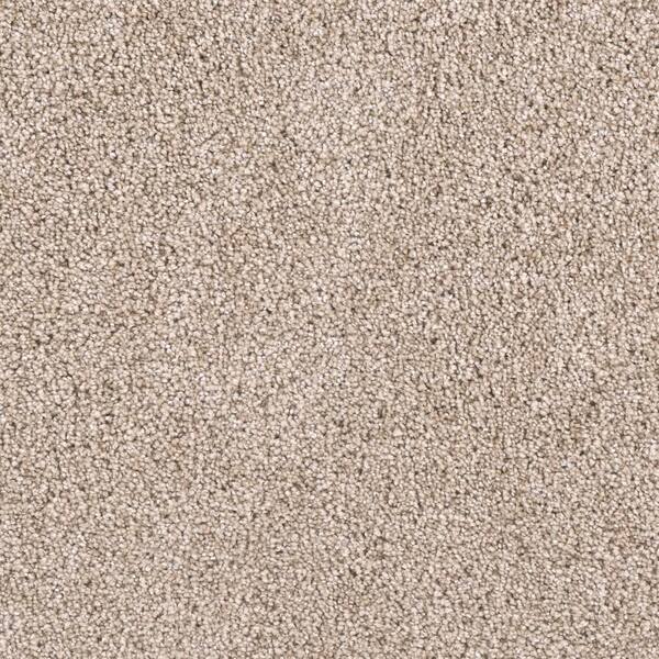 Home Decorators Collection Wonderfully Made II - Color Fawn Texture 12 ...