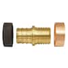 Apollo 3/4 in. Brass PEX-B Barb Polybutylene Coupling APXBC3434 - The ...